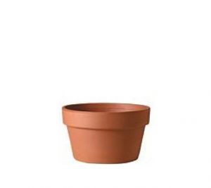 Shop Wholesale Pots in New York | Pottery King